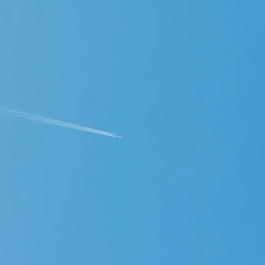 工飞鸟 