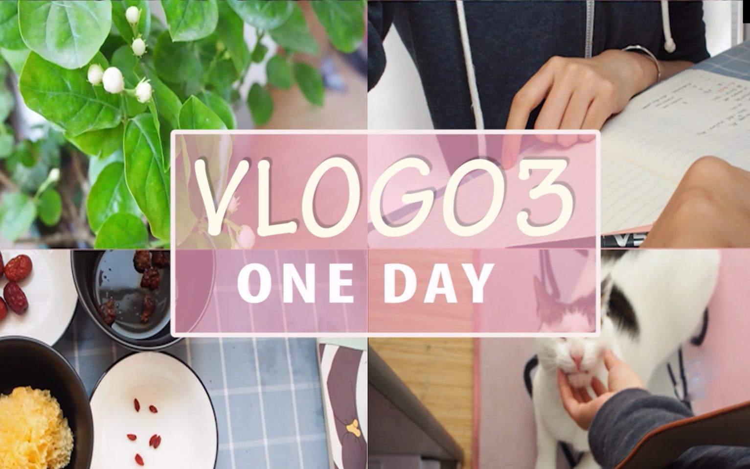 One Day 收获单休狗的快乐一天