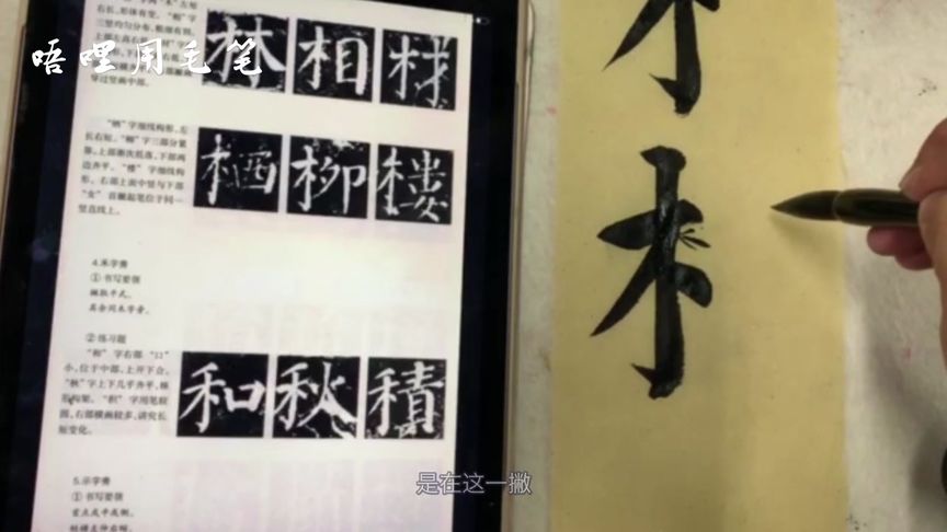 书法教学:颜勤礼碑颜体“木字旁”的写法,一定要注意细节哦