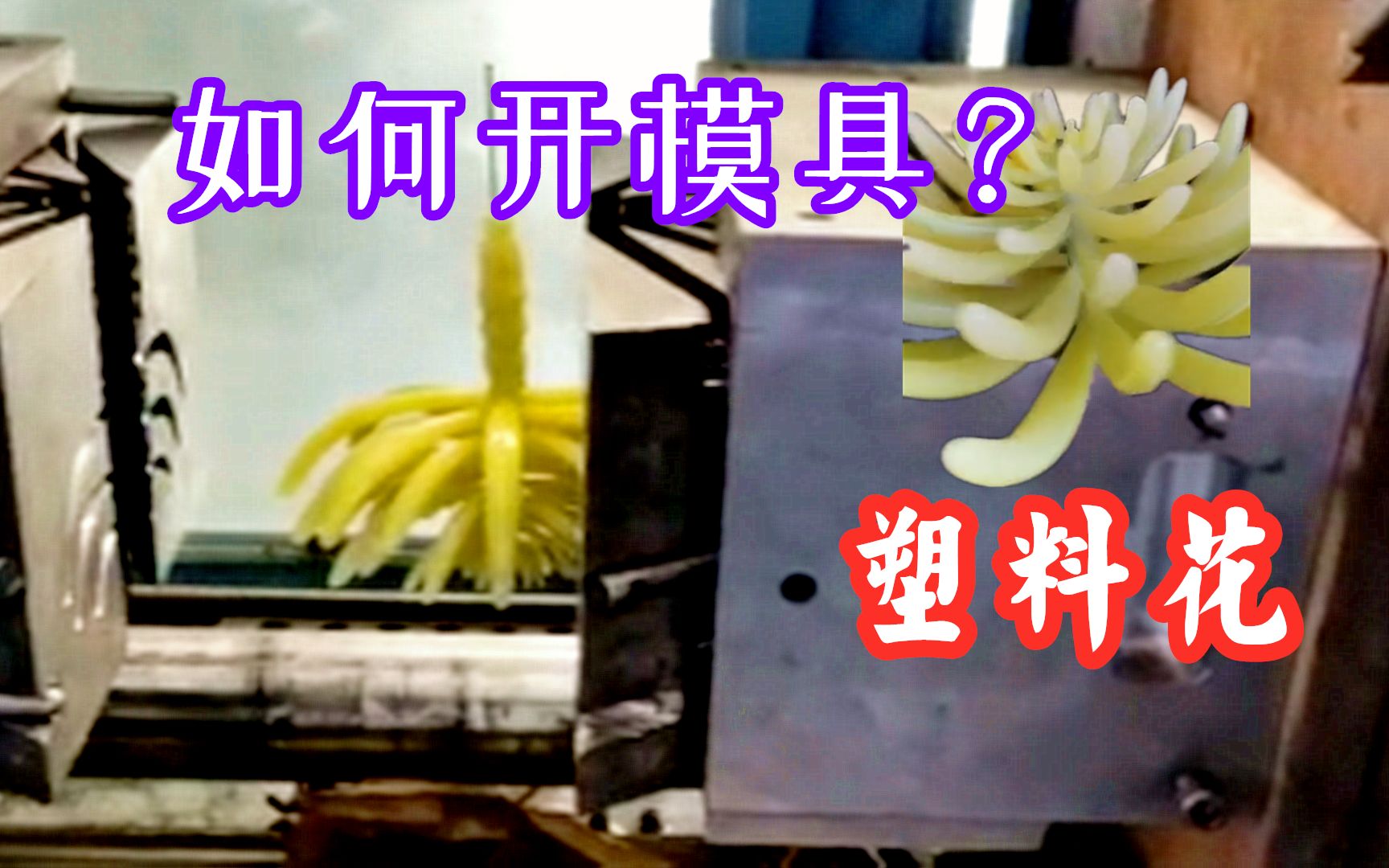开一副塑料花模具才几千块,今天被狠狠上了一课,做20年第一次见