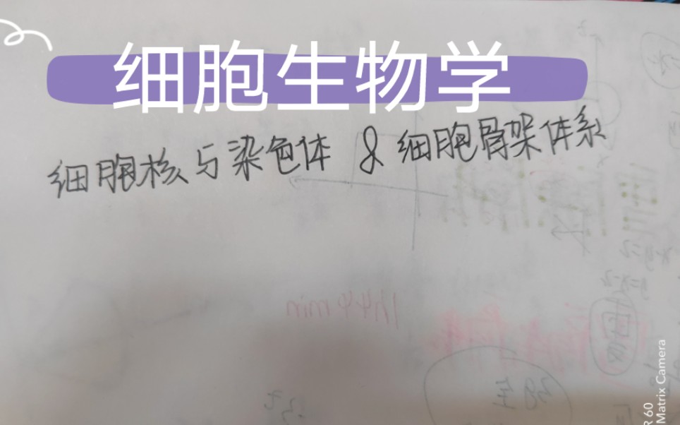 细胞核与染色体&细胞的骨架体系&细胞生物学
