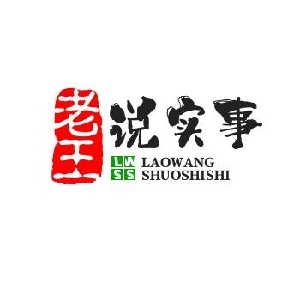 老王说实事 