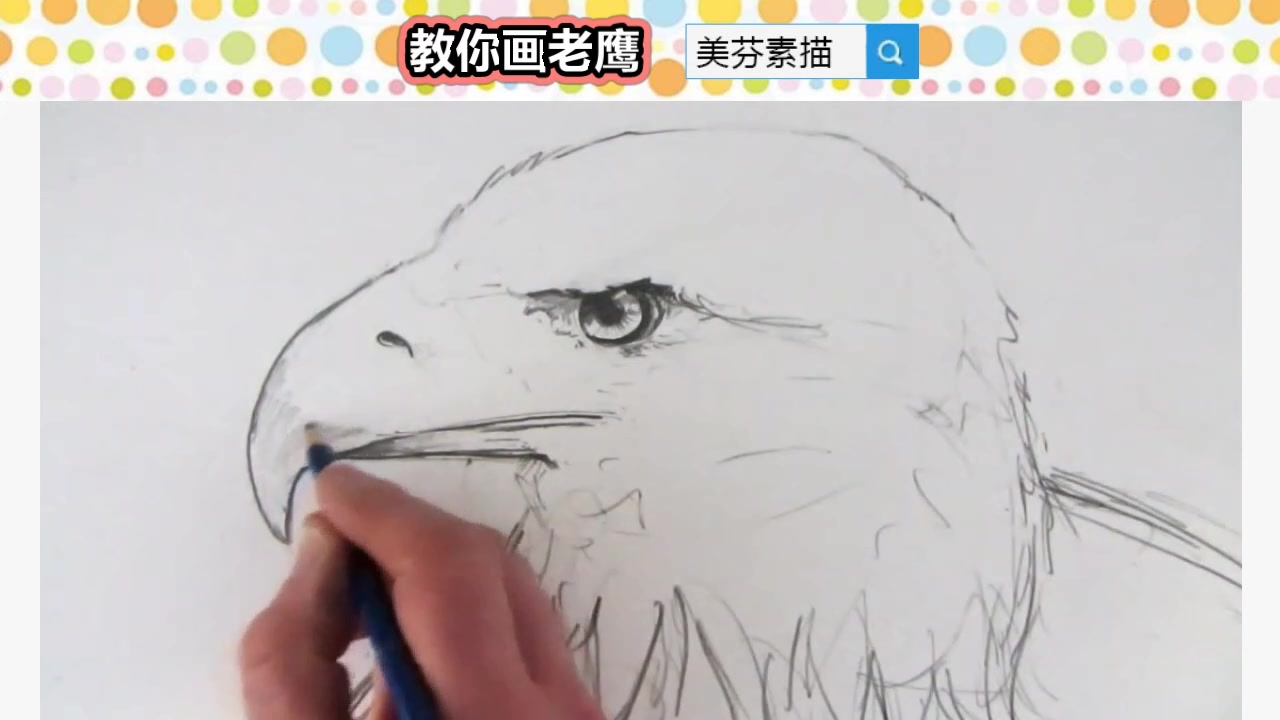 素描入门,如何画一只超写实的老鹰头素描画?动物羽毛刻画的要点!