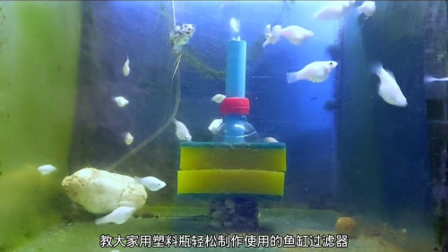 教你用塑料瓶轻松制作鱼缸过滤器,过滤功能强大且实用,养鱼必备