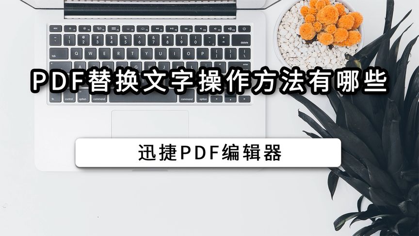 PDF替换文字操作方法有哪些