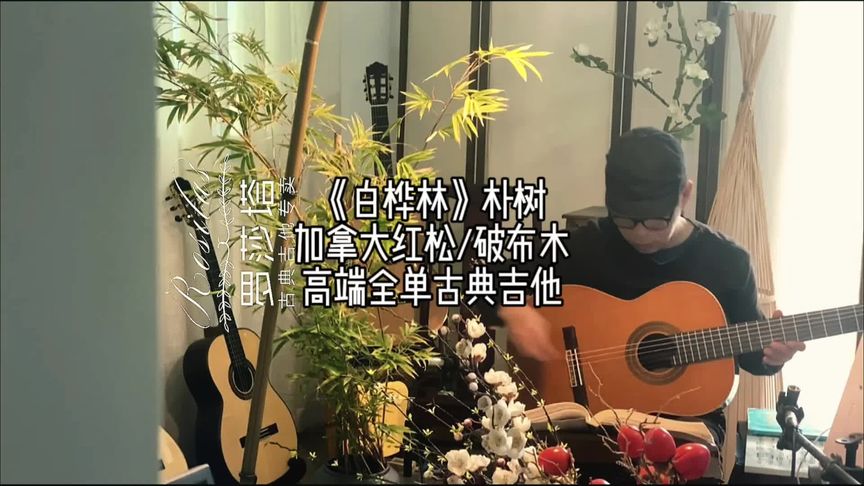 《白桦林》朴树 加拿大红松/破布木 高端全单古典吉他#古典吉他