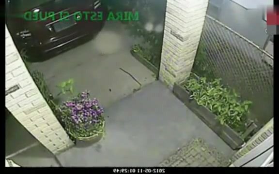 灵异事件, 监控下非常真实的视频