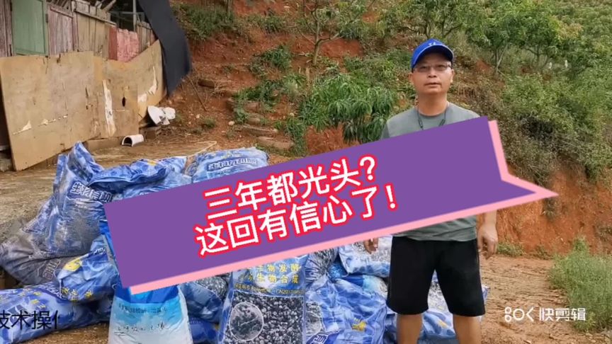 行动才有机会,不行动一切还在原点!#芒果栽培管理新技术