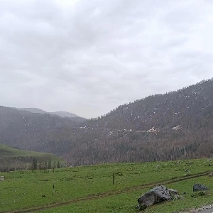 雪山羊肉炉 