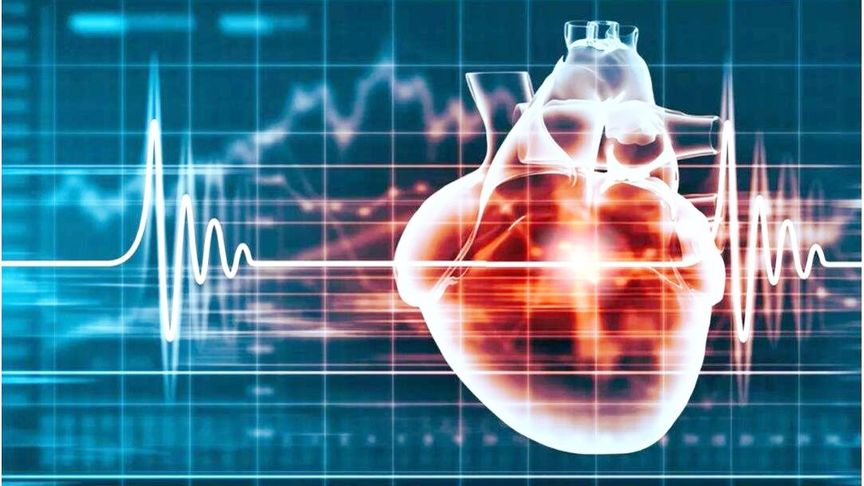 中医药能不能防治心血管疾病?终于有答案了…