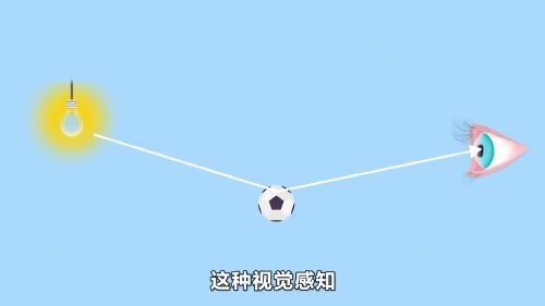 你知道世界是什么颜色的吗?其实真实的世界并非我们所看到的,一
