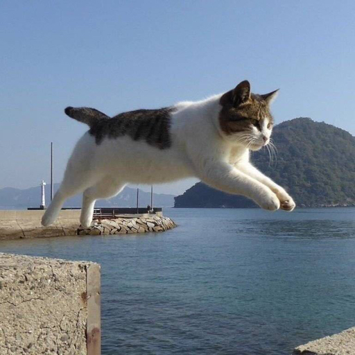 悠宇慢读 