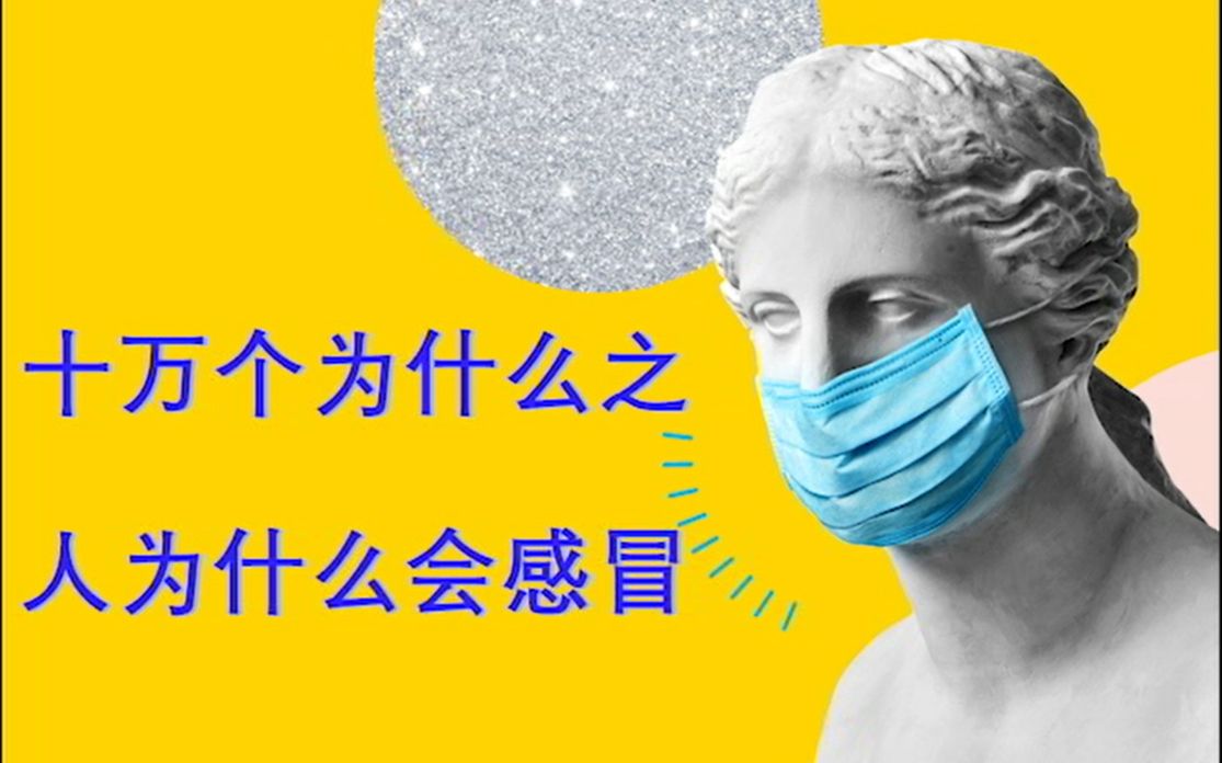 十万个为什么之人为什么会感冒