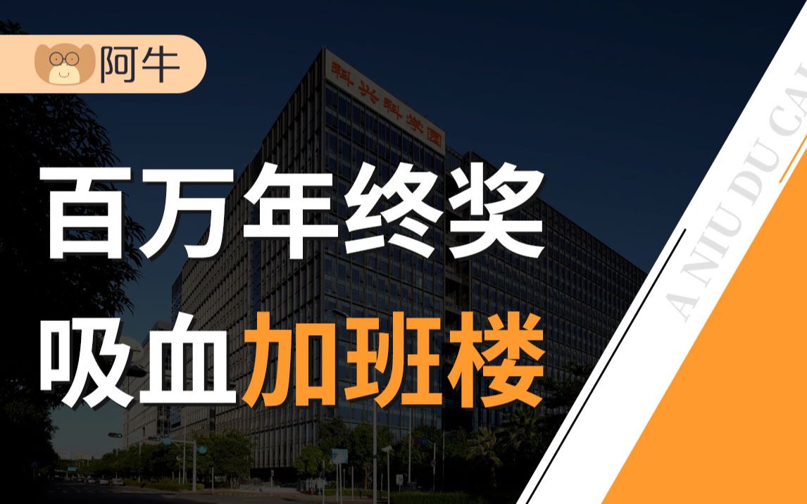 【阿牛】加班,搞钱,猝死:中国加班第一楼背后的秘密