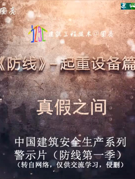 起重设备事故案例05真假之间