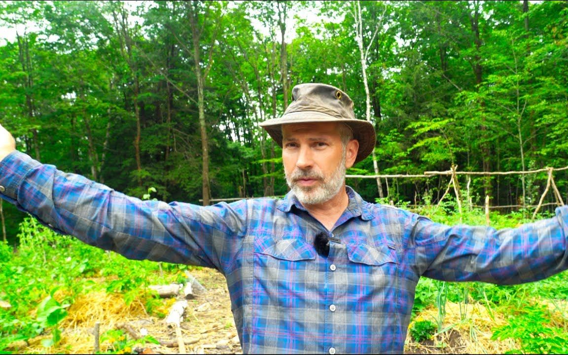 【森林花园】如何在北方森林种植食物