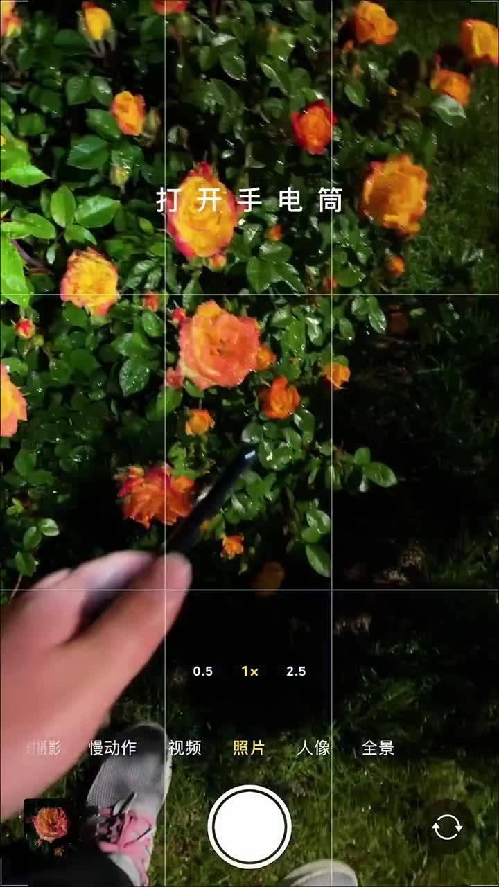 晚上试试这样拍花,雨后的画太漂亮了!