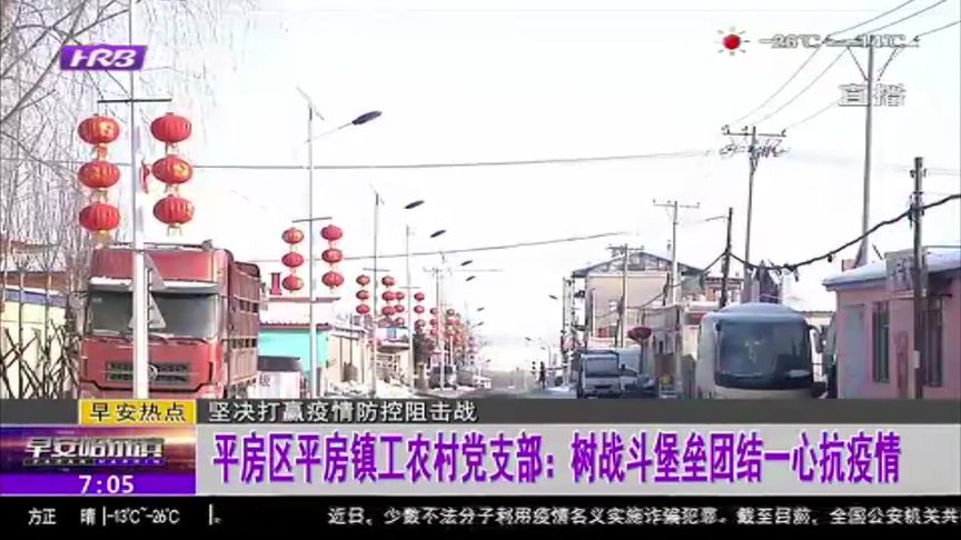 哈尔滨平房区:平房镇工农村党支部树立战斗堡垒,团结一心抗疫情