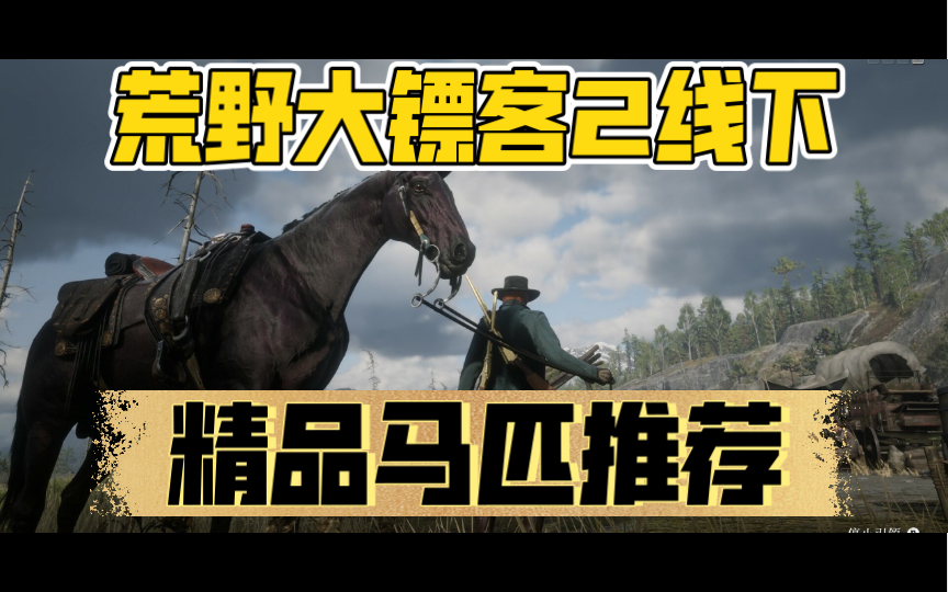 ...精品马匹推荐!视频简介中有各个我提到的相关马匹的获取攻略传送门!