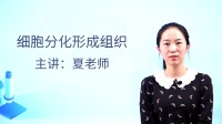 冀少版初中生物七年级(上册) 第9集 细胞分化形成组织