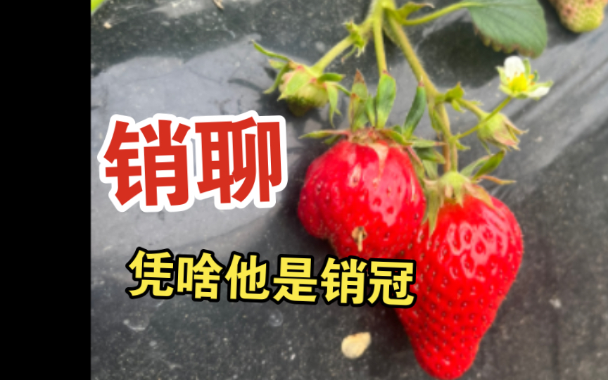 让拜访大客户不紧张,让拜访有连贯性;大客户销售技巧干货分享