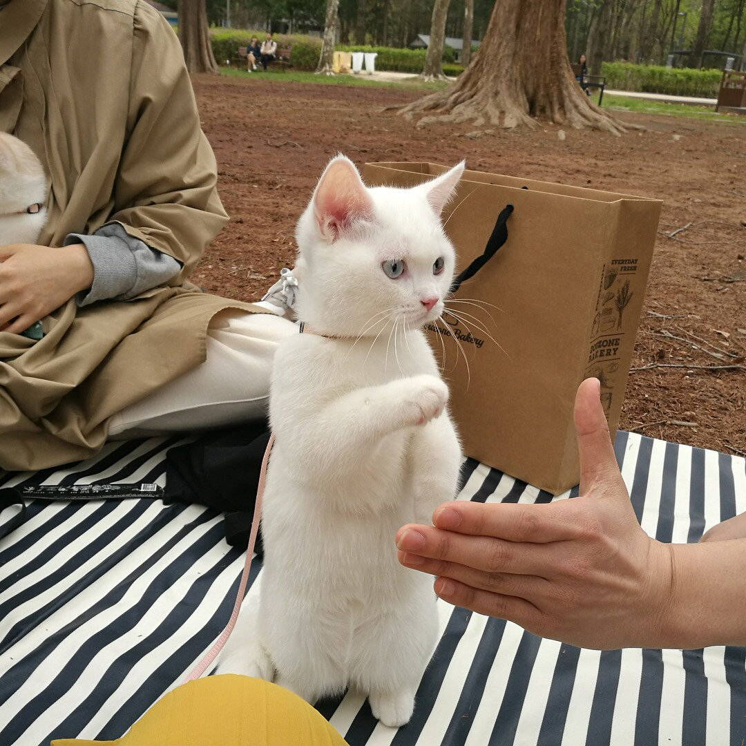 仇康 