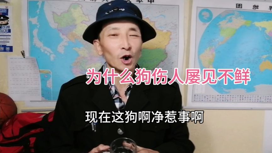 河南狗伤人事件让人痛恨,就是一些人仗势欺人,狗仗人势