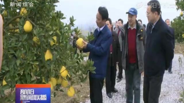 邵阳县召开精准扶贫“双万工程”启动暨“福林香柚”品鉴会