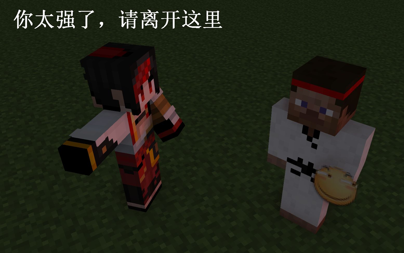 [娱乐 - 我的世界]玩家与NPC的比较