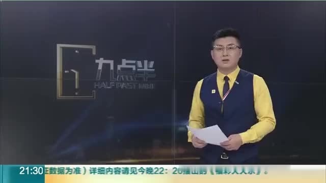 论文标注"不参考任何文献" 看到作者,网友:.