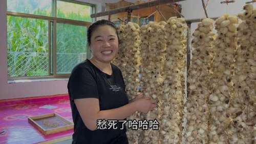 破茧成蝶!小霞家蚕宝宝进山开启自然生长之旅