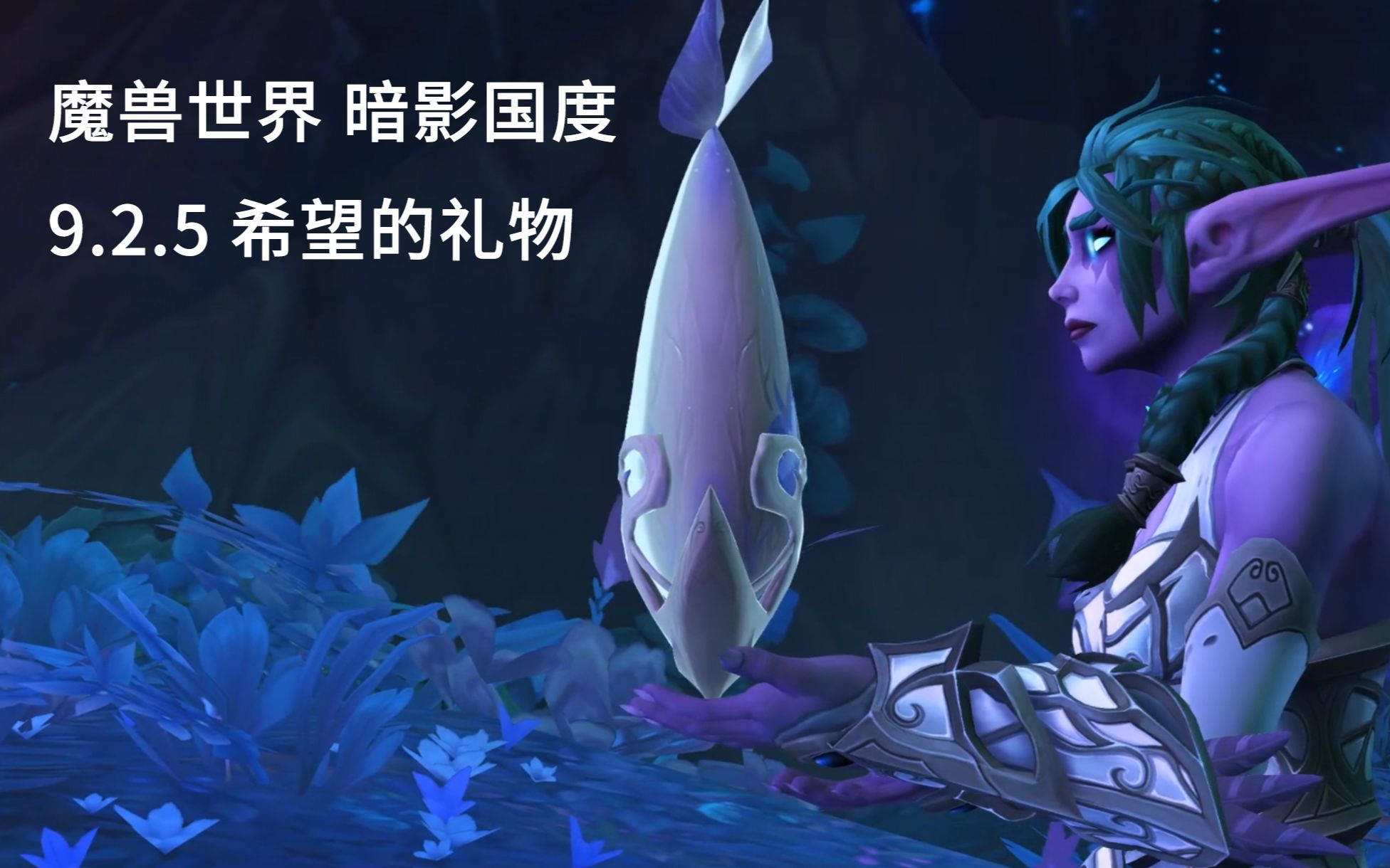 魔兽世界/WOW 9.2.5 任务“希望的礼物”剧情流程 泰兰德与暗夜精灵...