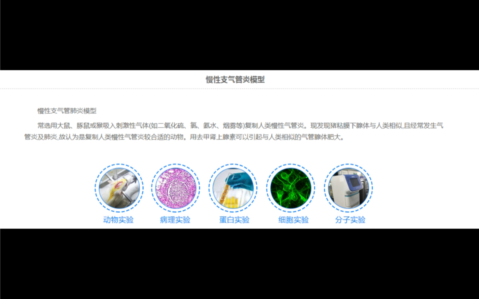 慢性支气管炎模型