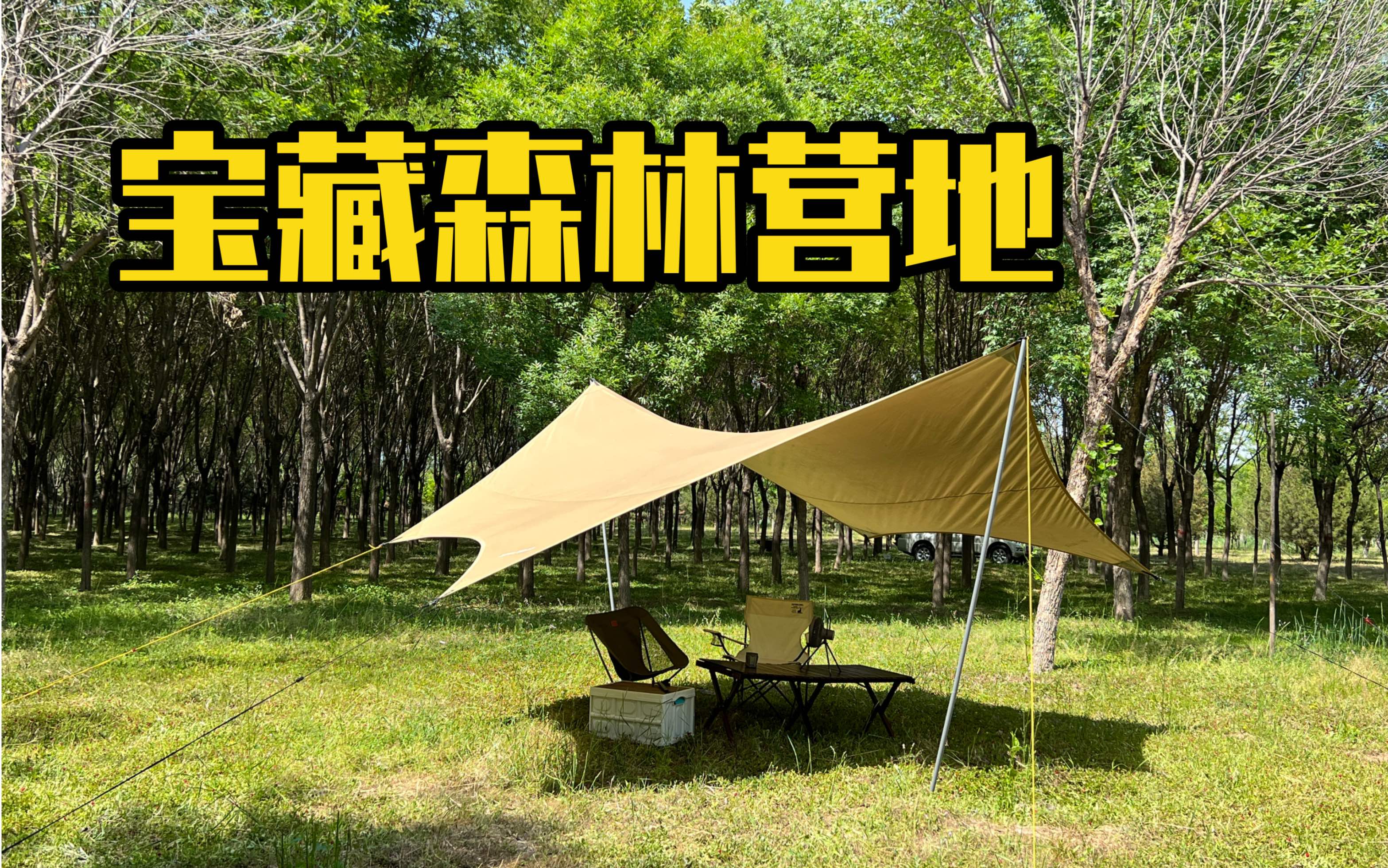【北京营地攻略】偶然发现的昌平宝藏森林营地 人少安静 面积巨大!