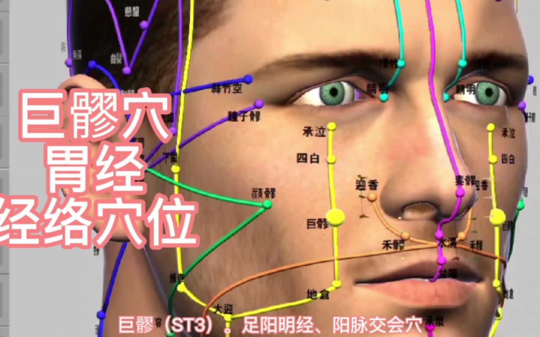 巨髎穴_胃经_经络穴位