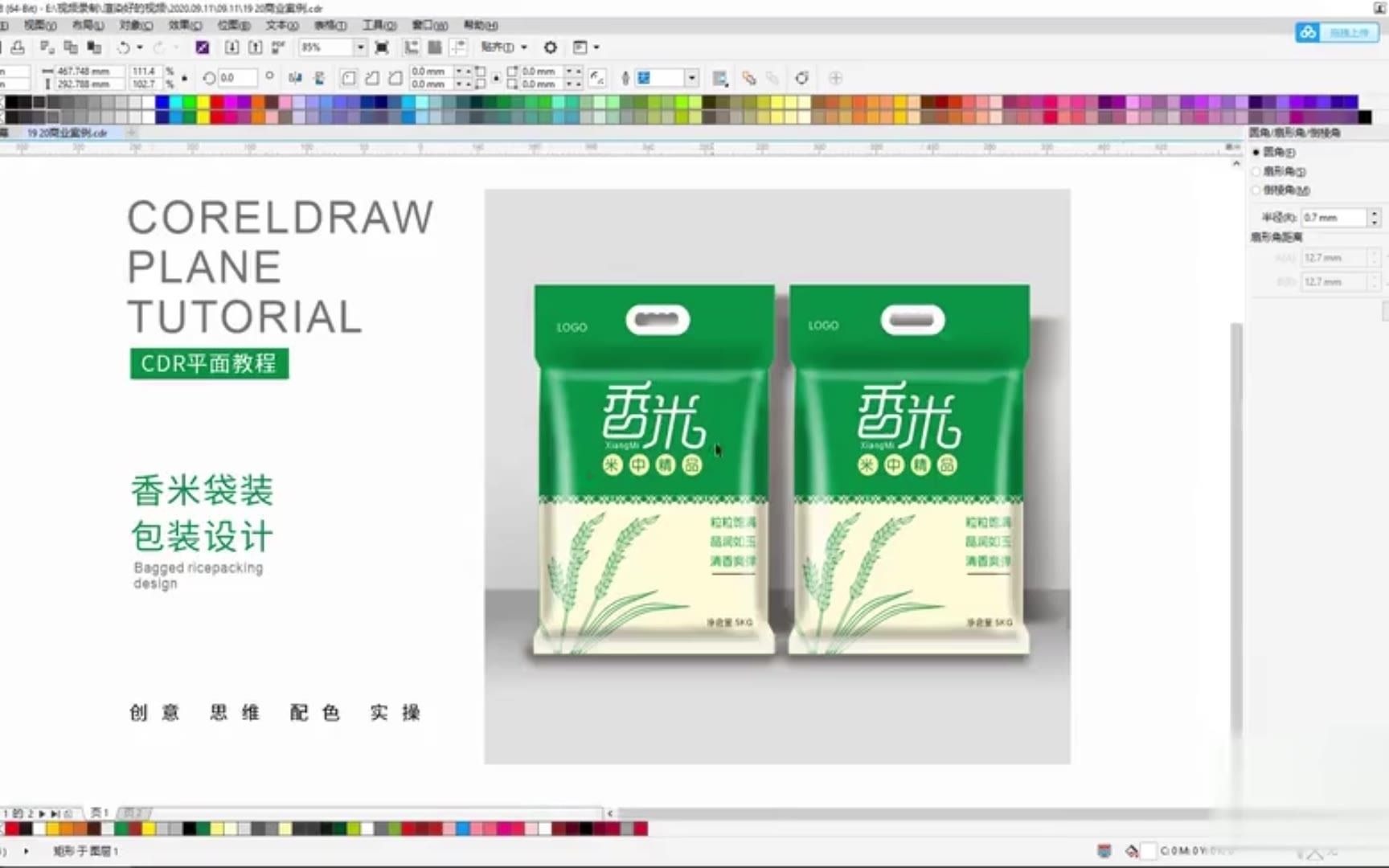 CD米袋包装设计(上)CDR教程、CDR平面设计