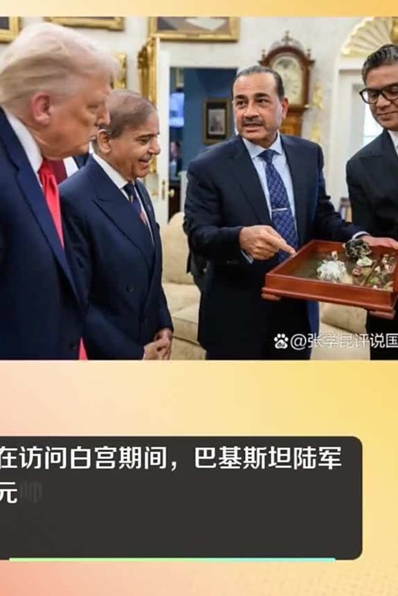 白宫会晤中巴基斯坦赠送稀土,揭示巨额矿产储备价值