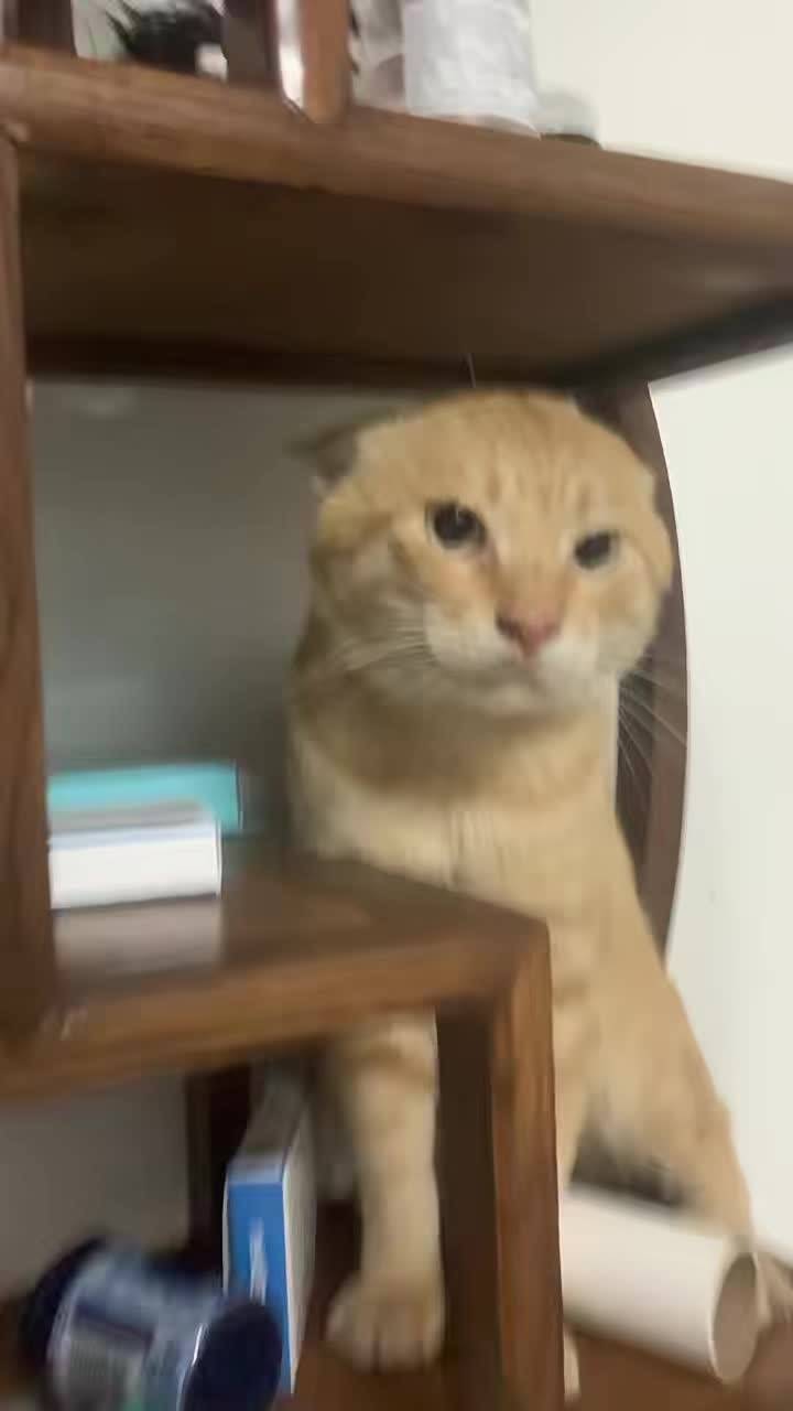 卡上了,评论区提建议的都是人才