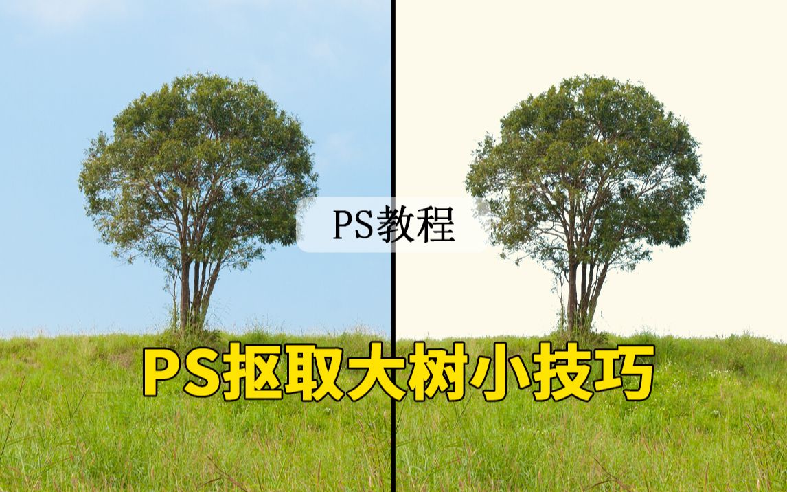 【PS教程】你知道如何抠出大树吗?教你使用通道抠出来