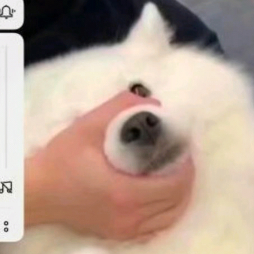 _麦兜老师 