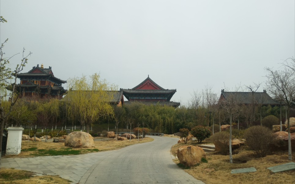 青岛胶州少海湿地公园游记