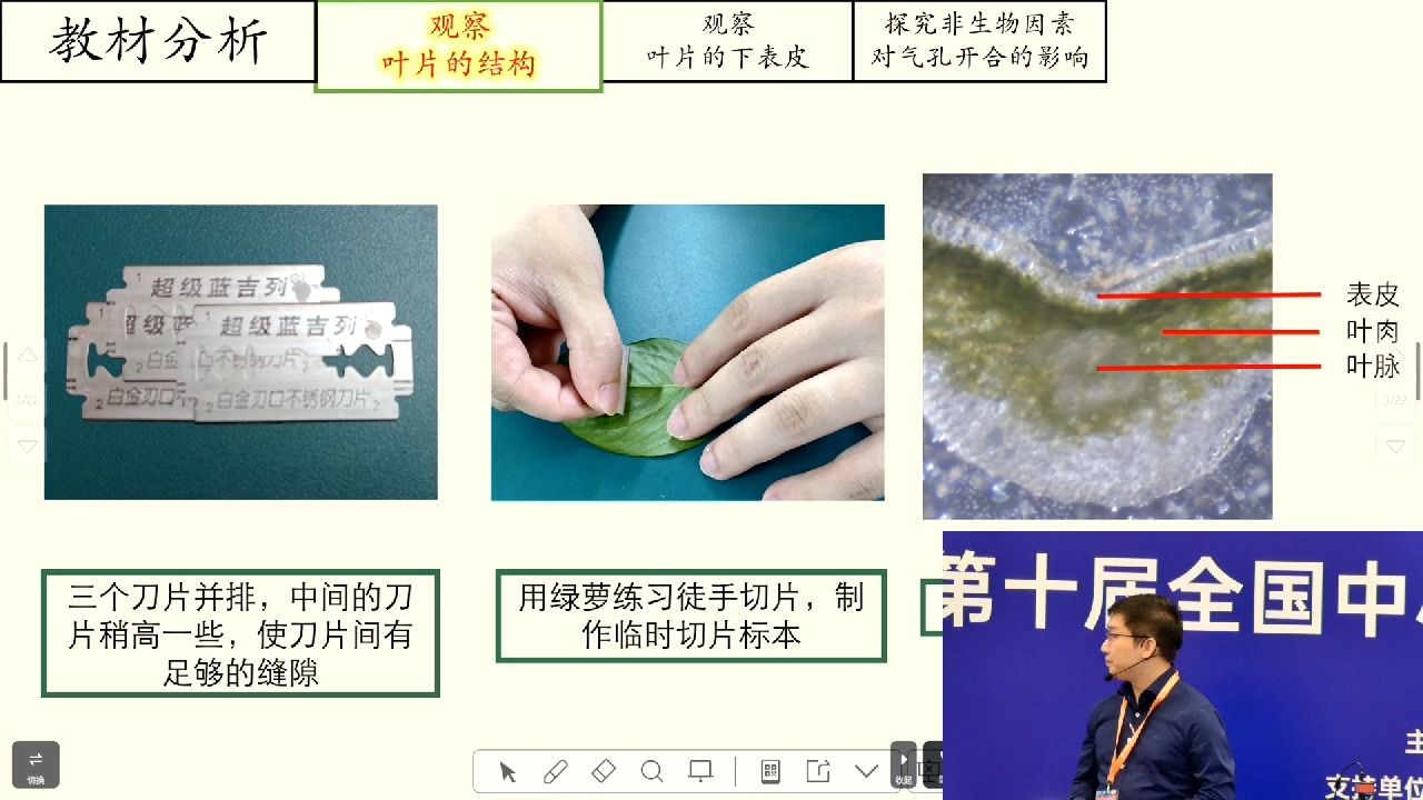 观察叶片的结构——探究非生物因素对气孔开合的影响(广西 钟勇)