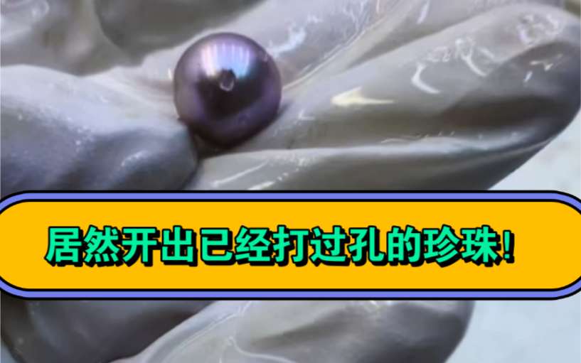 惊天黑幕!淘宝充当犯罪势力保护伞!为欺诈行为提供温床!直播间活体开...