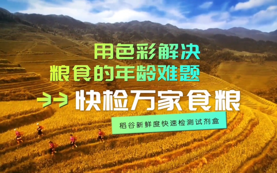 第十届创青春 科技创新组 快检万家食粮——稻谷新鲜度快速检测试剂盒
