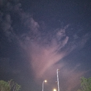 好吃的叫花儿 