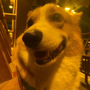 _等4w人 