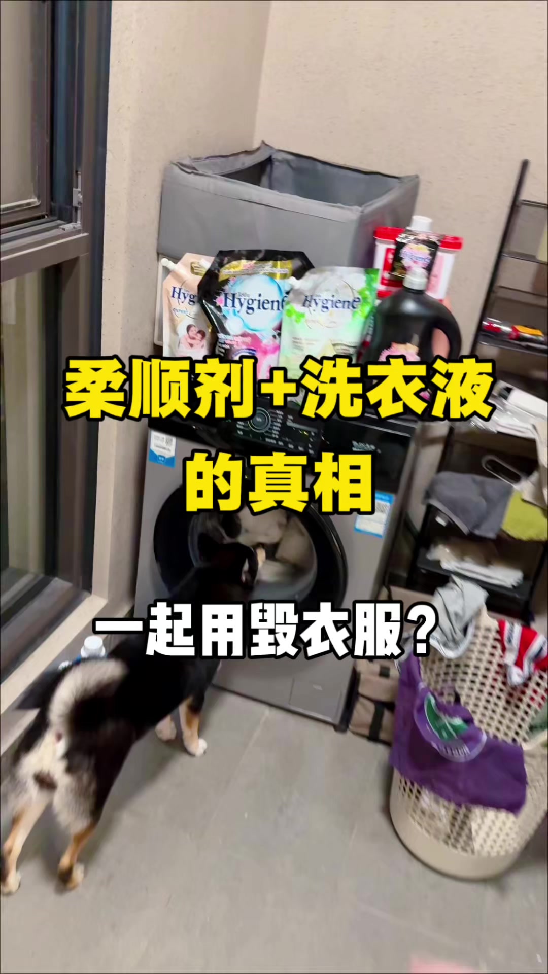 柔顺剂、洗衣液,不会用不如不用!用错顺序只会越洗越脏,用对了就会...