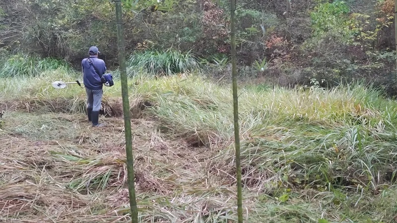 小计划实施中