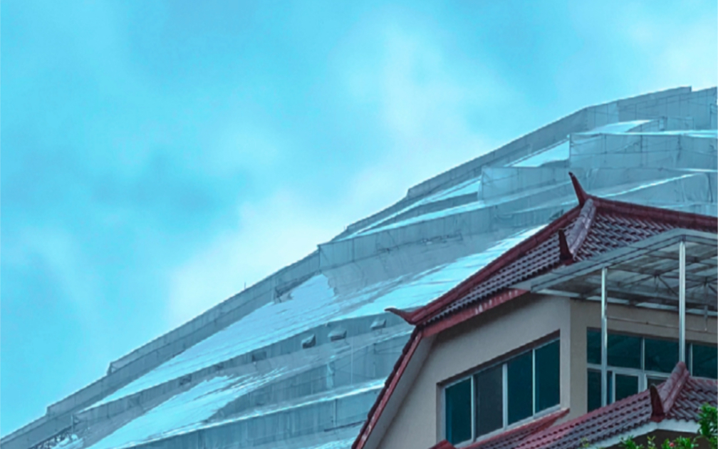 一个杨梅大棚的爆火历程和背景分析