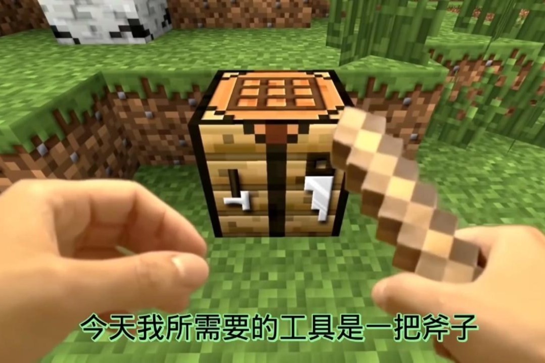 我的世界:像这个样子,新手在这里生存,能够生存几天啊?